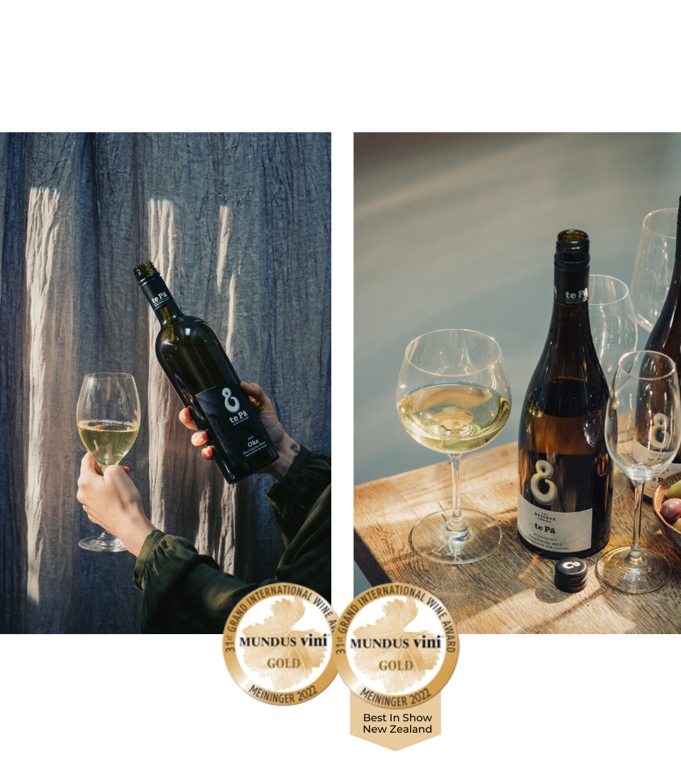 'Best in Show' at Mundus Vini competition – te Pā Wines